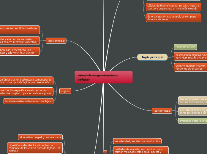 nivel de organización celular - Mind Map