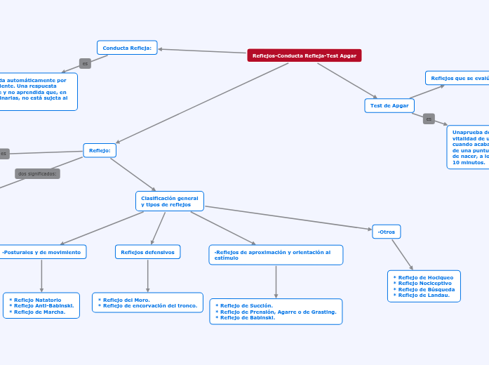 Reflejos y Conducta - Concept Map