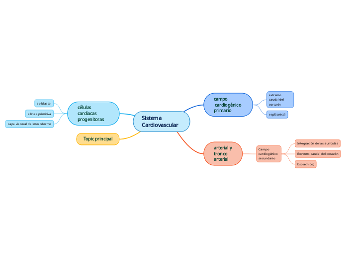 Sistema Cardiovascular - Mind Map