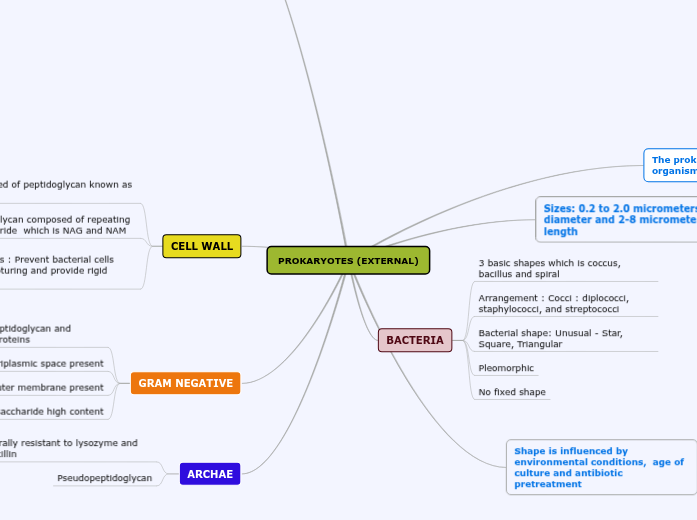 PROKARYOTES (EXTERNAL) - Mind Map