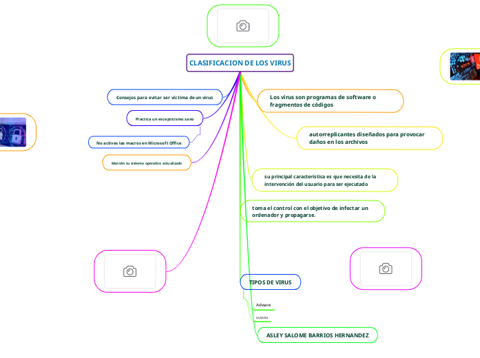 CLASIFICACION DE LOS VIRUS - Mind Map