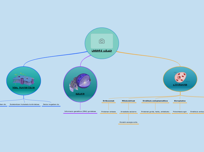 LANDARE ZELULA - Mind Map