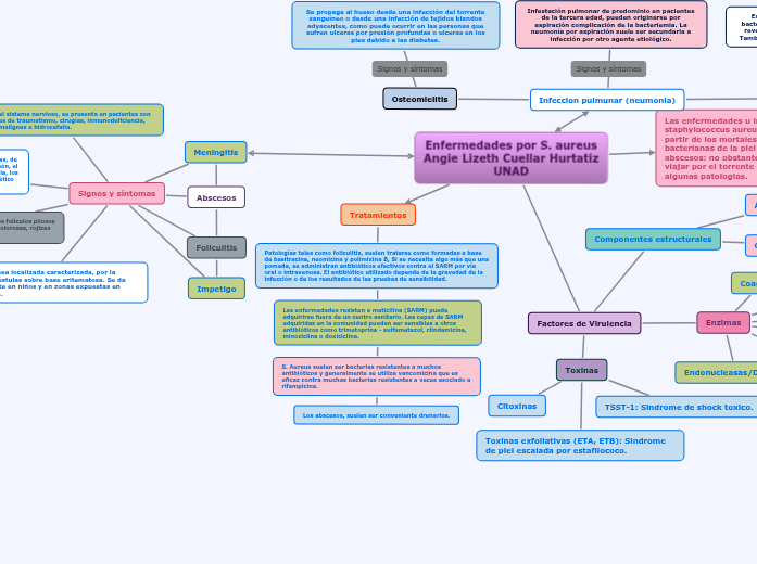 Staphylococcus Aureus Mapa Conceptual - Diary Bersama