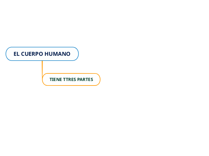 EL CUERPO HUMANO - Mind Map