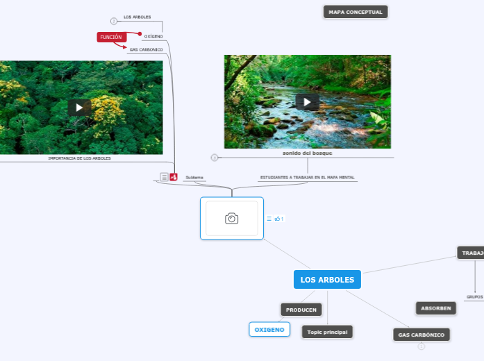 LOS ARBOLES Y EL MEDIO AMBIENTE - Mind Map