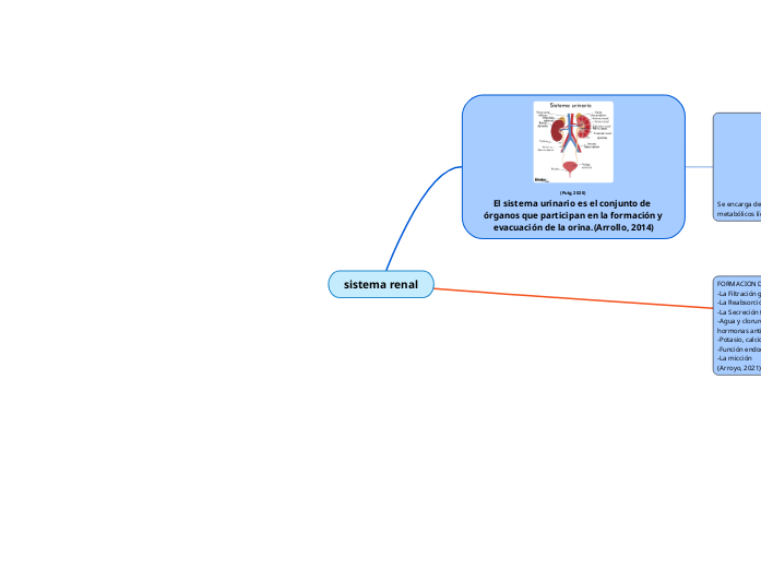 sistema renal - Mind Map