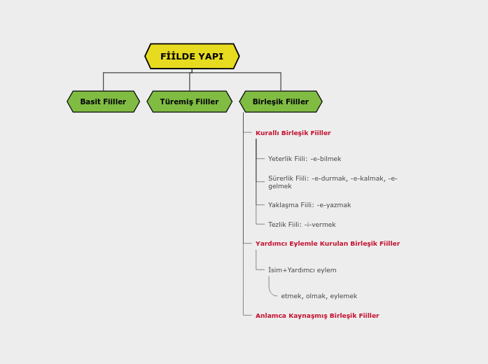 Tree organigram - Mind Map