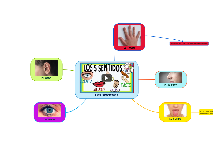 LOS SENTIDOS - Mind Map