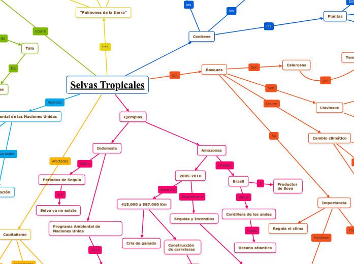 Selvas Tropicales - Mind Map