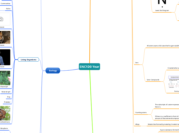 SNC1D0 Year - Mind Map