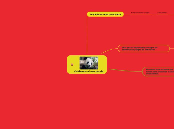 Cuidemos al oso panda - Mindmap - Voorbeeld