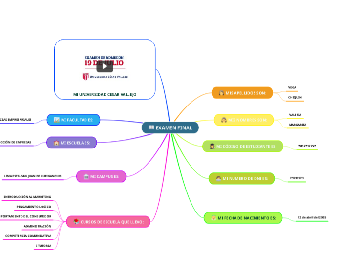 EXAMEN FINAL - Mind Map