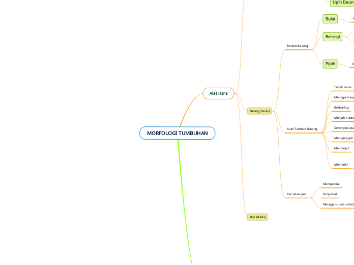 MORFOLOGI TUMBUHAN - Mind Map