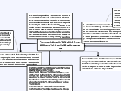 Diagrama Radial - Mind Map