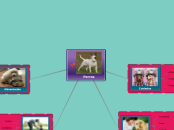 Amistad Entre Perros y Humanos - Mind Map