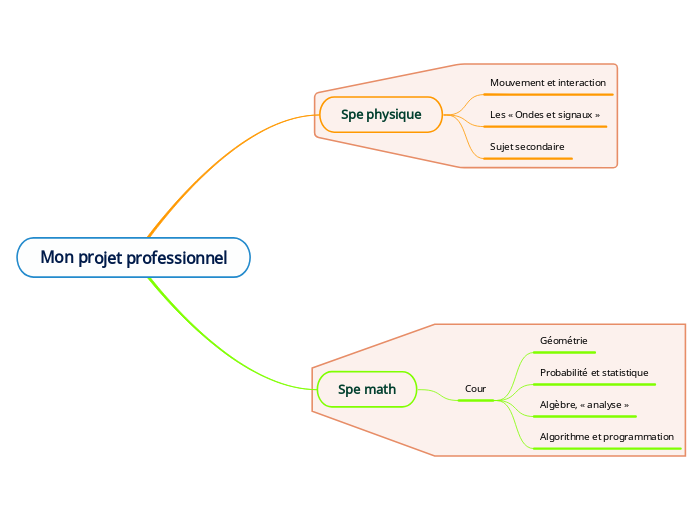 Mon projet professionnel - Mind Map