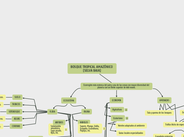 BOSQUE TROPICAL AMAZÓNICO (SELVA BAJA) - Mind Map