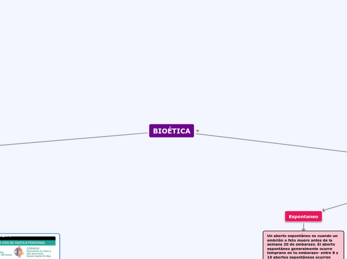 bioetica - Mind Map