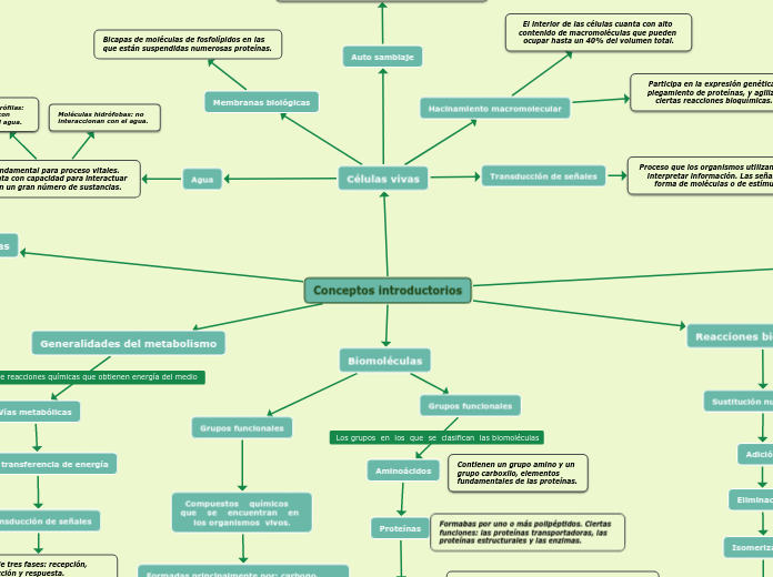 Conceptos introductorios - Mind Map