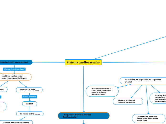 Sistema cardiovascular - Mind Map
