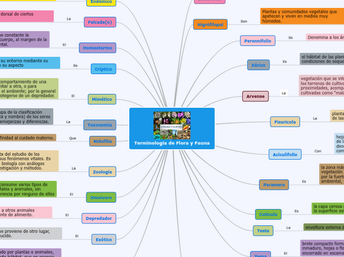 fauna y flora - Mind Map