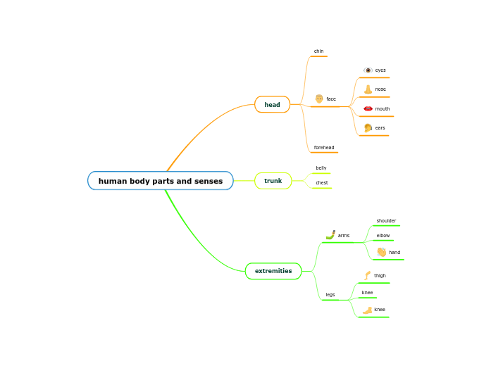 human body parts and senses - Mind Map