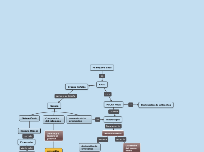Corazón - Concept Map