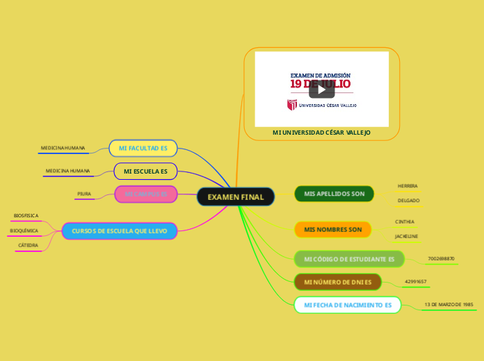EXAMEN FINAL - Mind Map