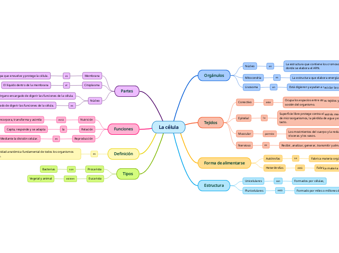 Funcionamiento celular - Mind Map