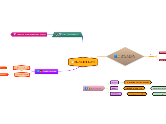 ETAPAS DEL PARTO - Mind Map