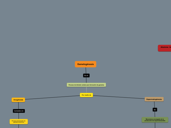 Gametogénesis - Mind Map