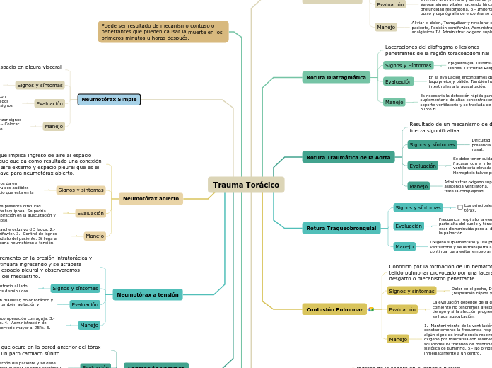 Trauma Torácico - Mind Map