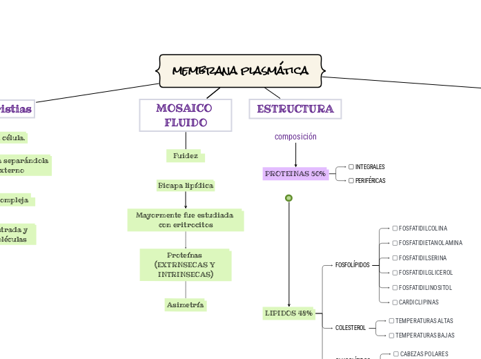 membrana plasmática - Mind Map
