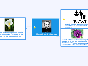 Mendel and his peas - Mind Map