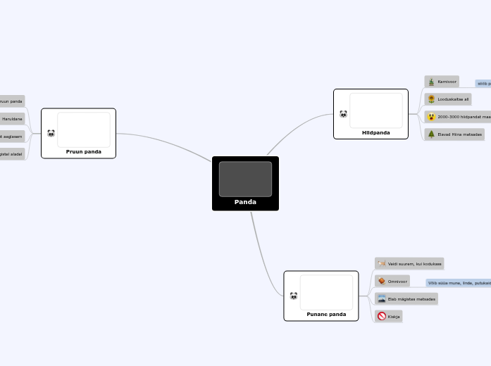 Panda - Mind Map