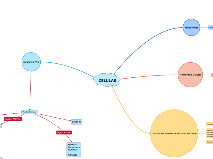 CELULAS - Mind Map