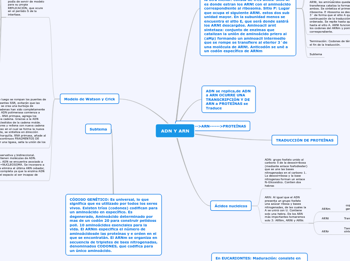 ADN Y ARN - Mind Map