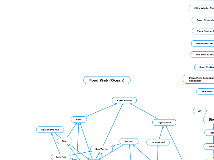 Food Web (Ocean) - Mind Map
