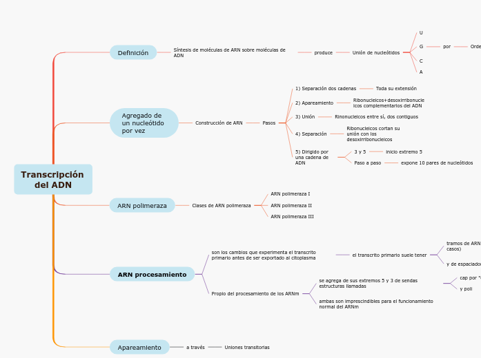 Transcripción del ADN - Mind Map