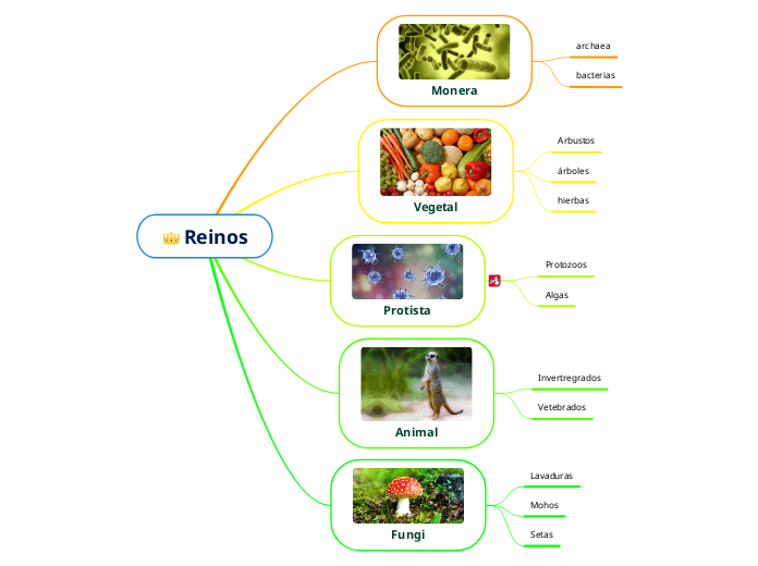 Reinos - Mind Map