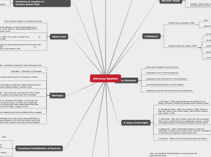 Nervous System - Mind Map