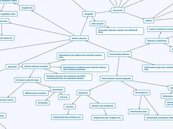 Koordinazio sistema - Mind Map