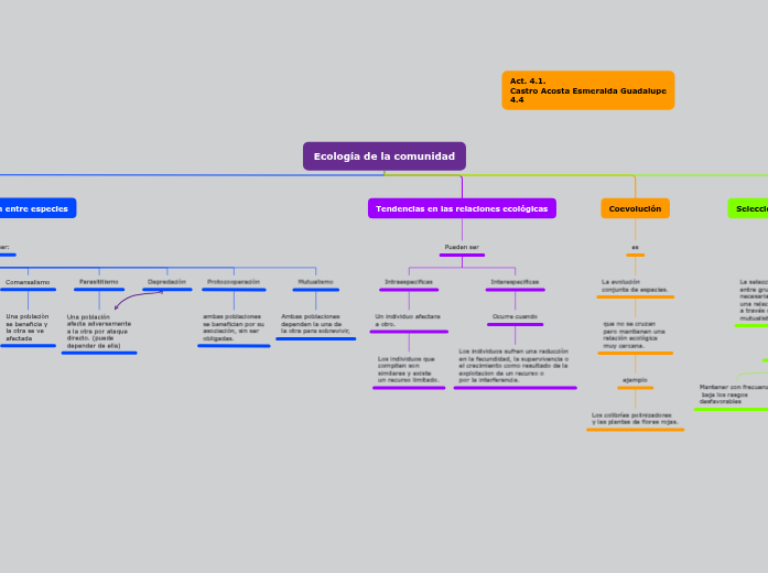 Interacciones - Mind Map
