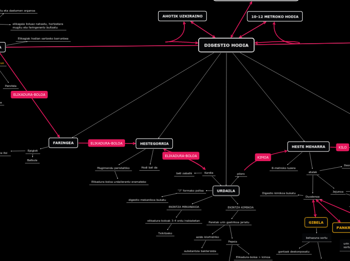 DIGESTIO HODIA - Mind Map