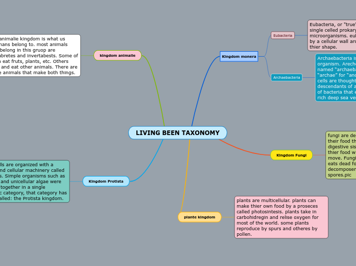 LIVING BEEN TAXONOMY antonella ordonez - Mind Map