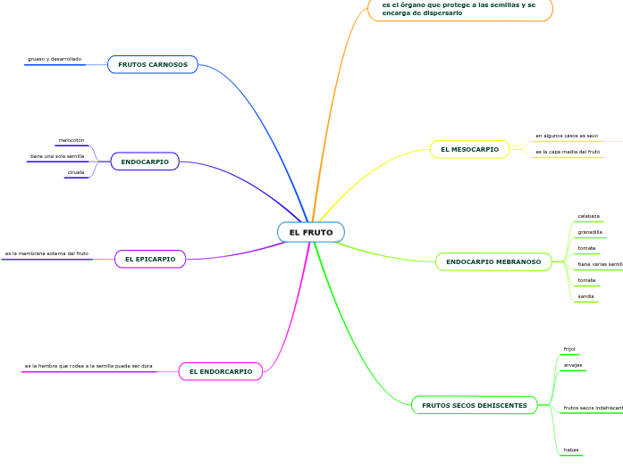 EL FRUTO - Mind Map