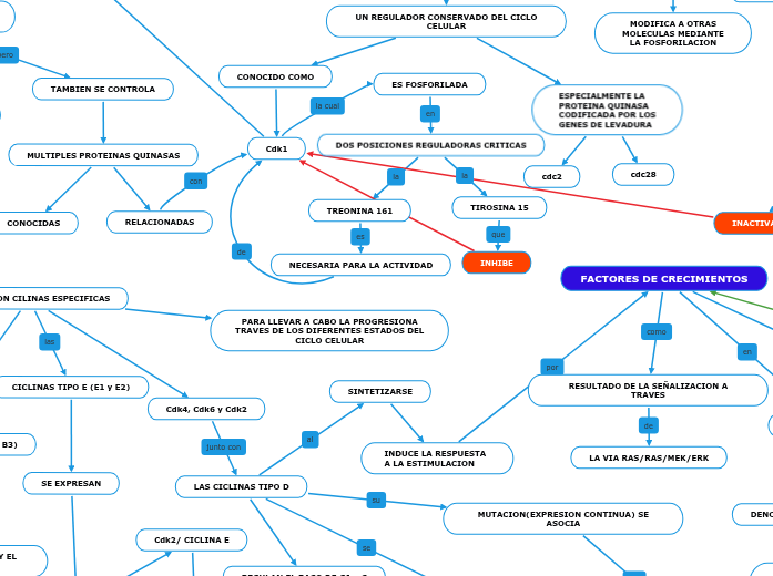 LAS PROTEINAS QUINASAS - Mind Map