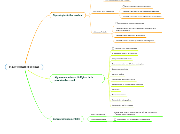 PLASTICIDAD CEREBRAL - Mind Map