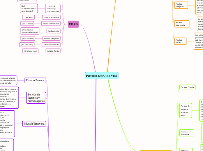 Periodos Del Ciclo Vital - Mind Map