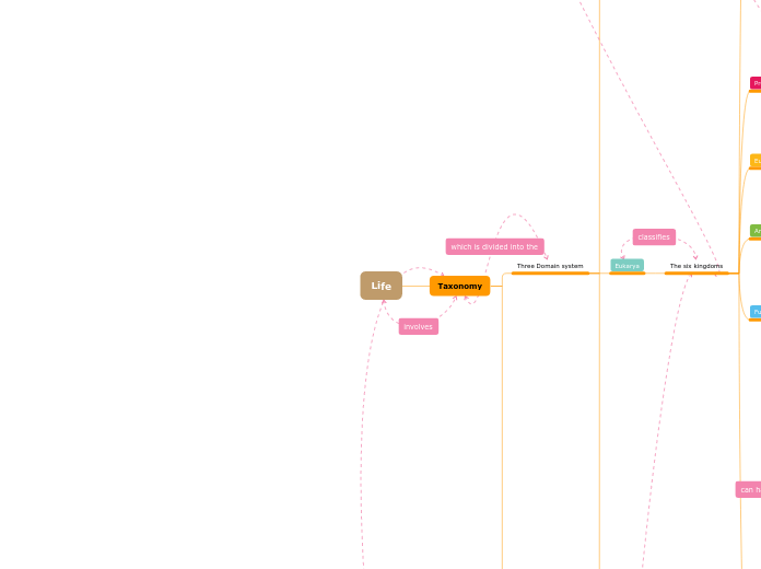 Bio - Mind Map